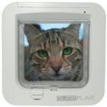 How Do Automatic Cat Doors Work? - All You Need To Know