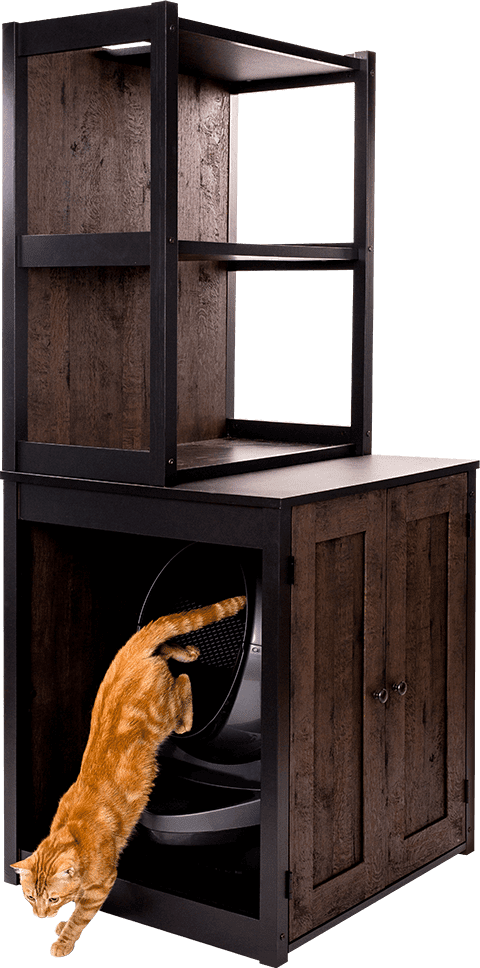 Litter Robot 3 Cabinet Enclosure Review | Is It Worth It? Here's My Answer