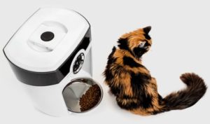 My Review Of The Feeder Robot - The New Automatic Pet Food Dispenser