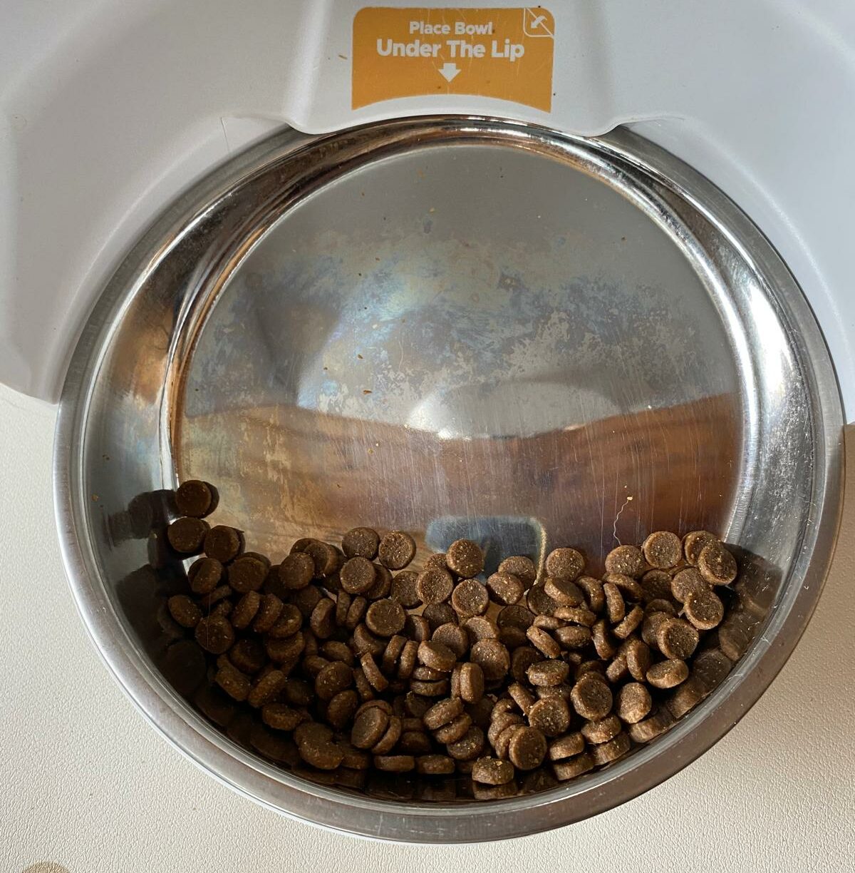 My Feeder-Robot Review (2025 Update) – Long-Term Experience